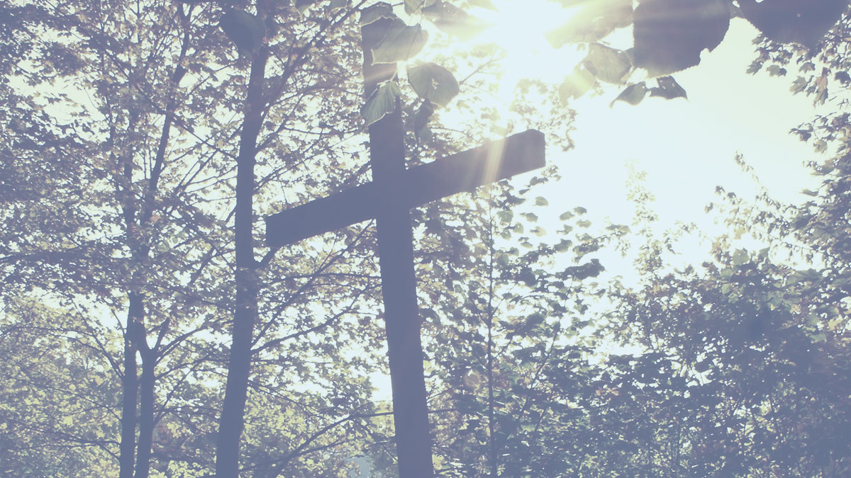 Live a Cross-Filled Life - All That We Have